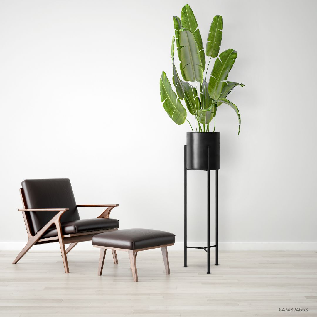 Modern Tall Black Pot Stand 35" – Gold Furnish